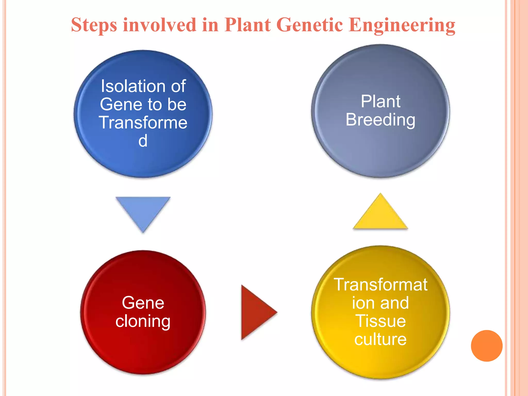Plant Genetic Engineering & Agrobacterium mediated gene transfer.pptx