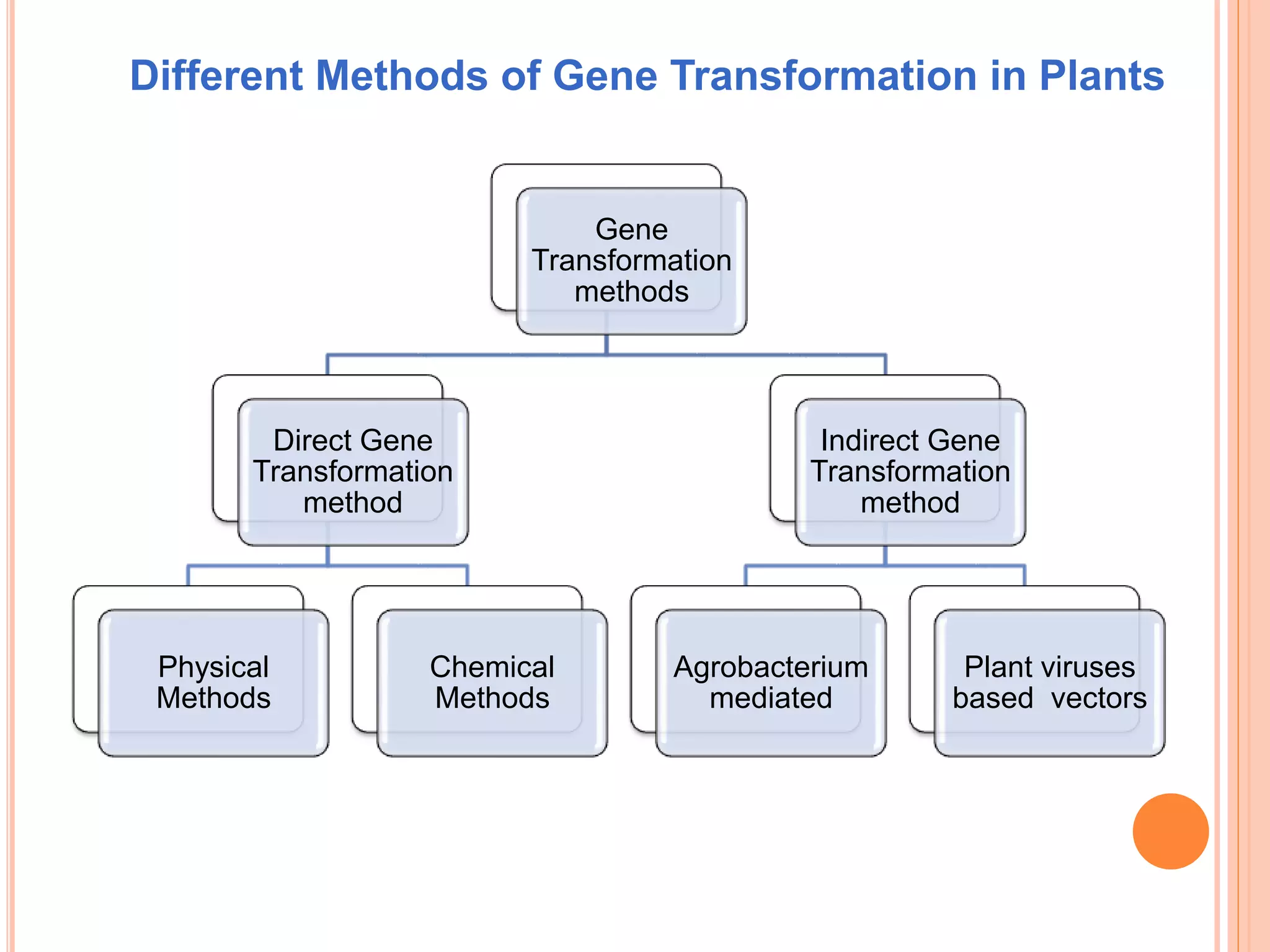 Plant Genetic Engineering & Agrobacterium mediated gene transfer.pptx