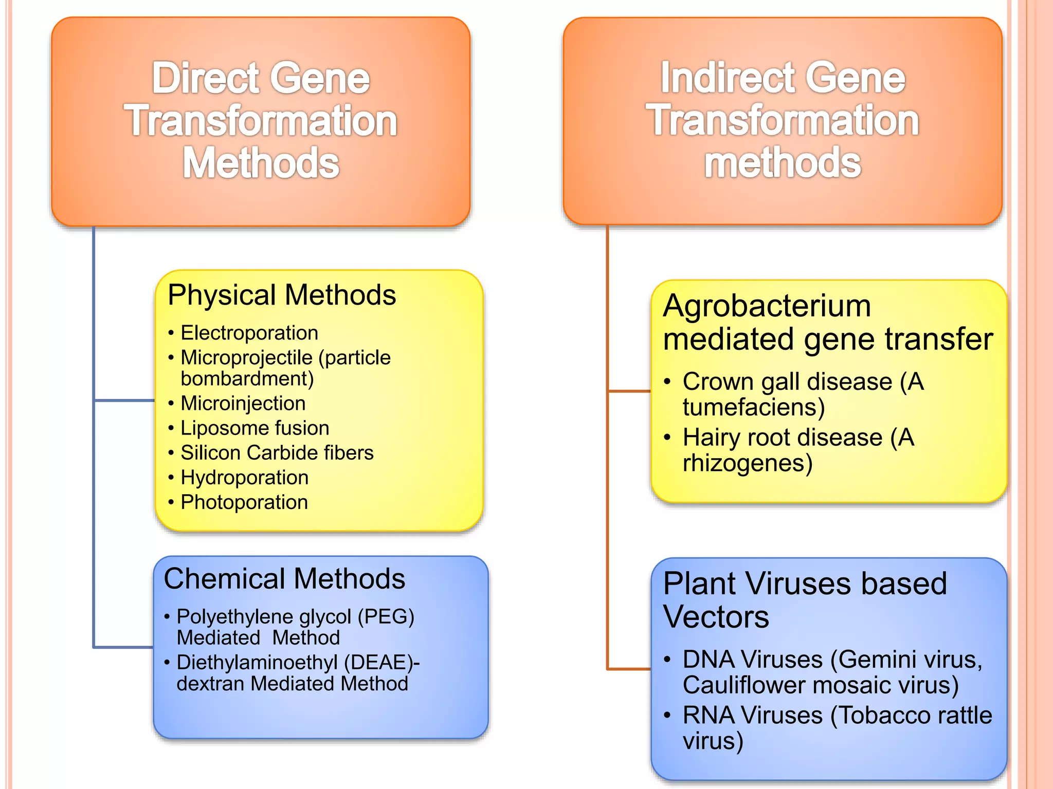 Plant Genetic Engineering & Agrobacterium mediated gene transfer.pptx