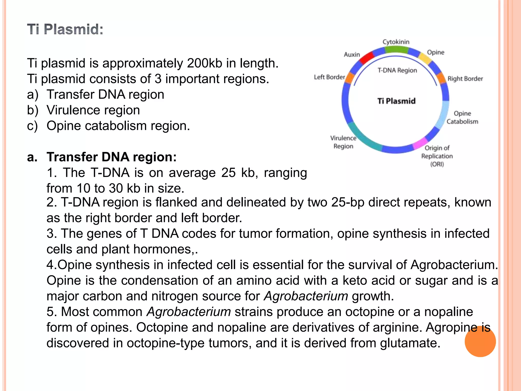 Plant Genetic Engineering & Agrobacterium mediated gene transfer.pptx