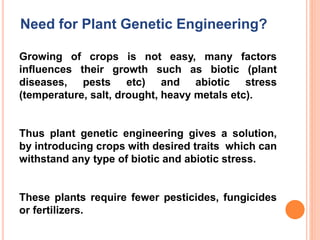 Plant Genetic Engineering & Agrobacterium mediated gene transfer.pptx