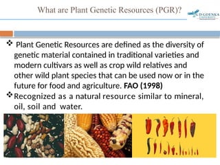 Plant Genetic Resources.pptx. pGR Resource | PPTX