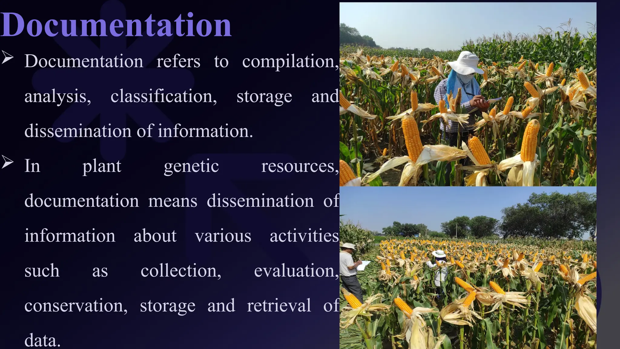 Plant Genetic Resources, Germplasm and Gene pool | PPTX