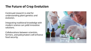 Plant Genetic Resources_ Evolution Of Crop Plants- Rice, Maize ...