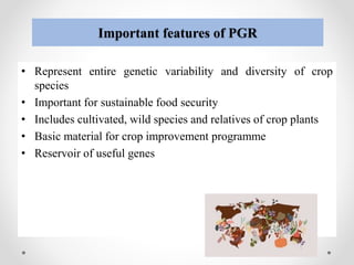 Plant genetic resources in fruit science ankit | PPTX