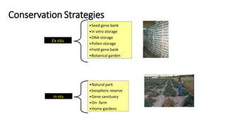 plant genetic resource conservation techniques .pptx