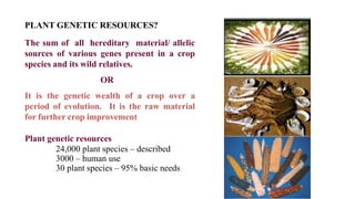 plant genetic resource conservation techniques .pptx