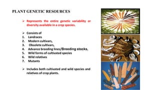 plant genetic resource conservation techniques .pptx