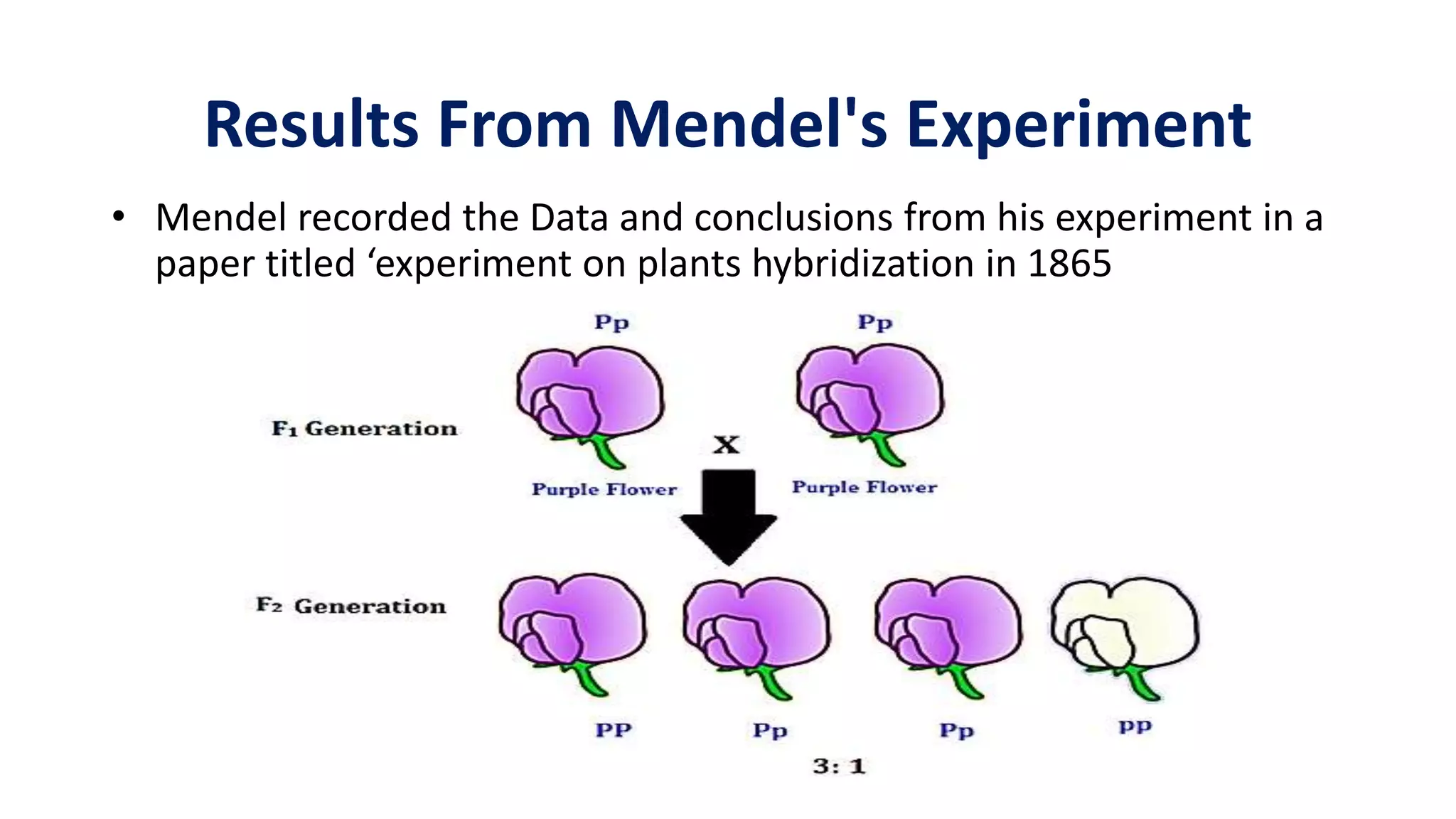Plant Genetic | PPTX