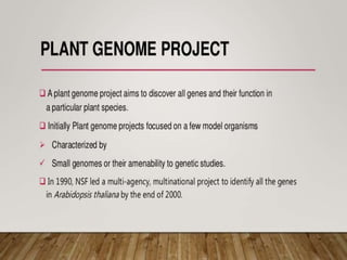 Plant genome mapping | PPTX | Biological Sciences | Science