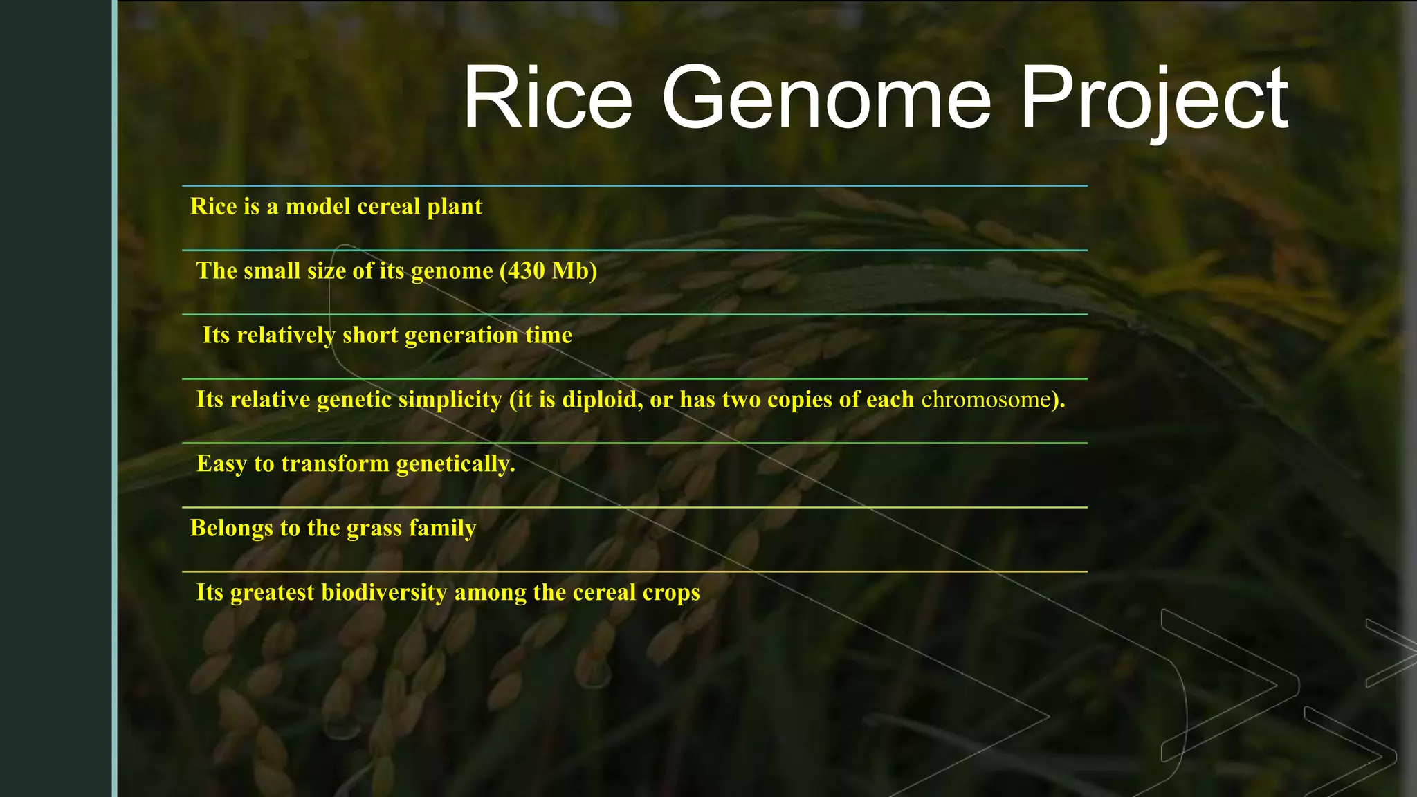 Plant genome project | PPTX