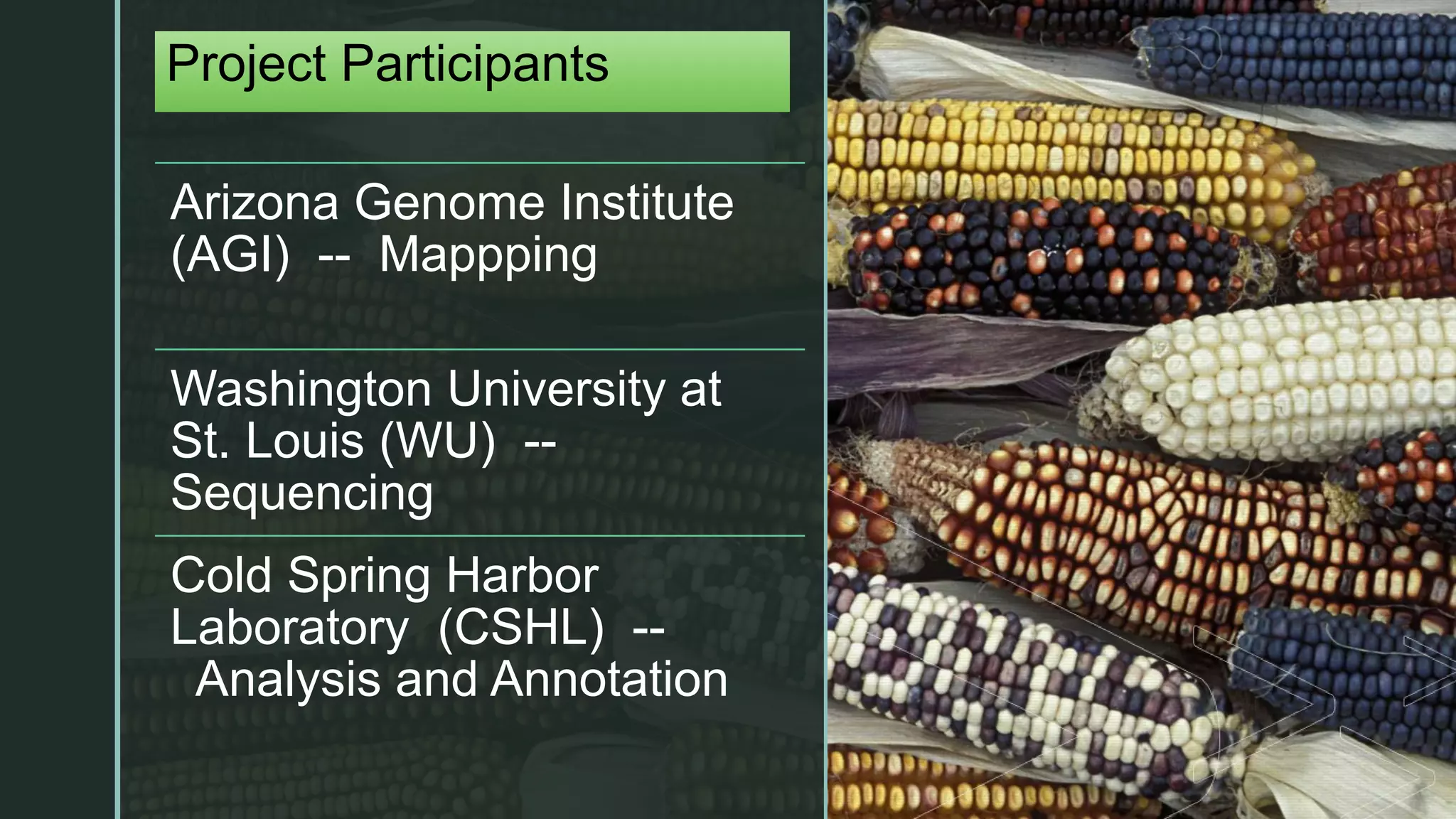 Plant genome project | PPTX