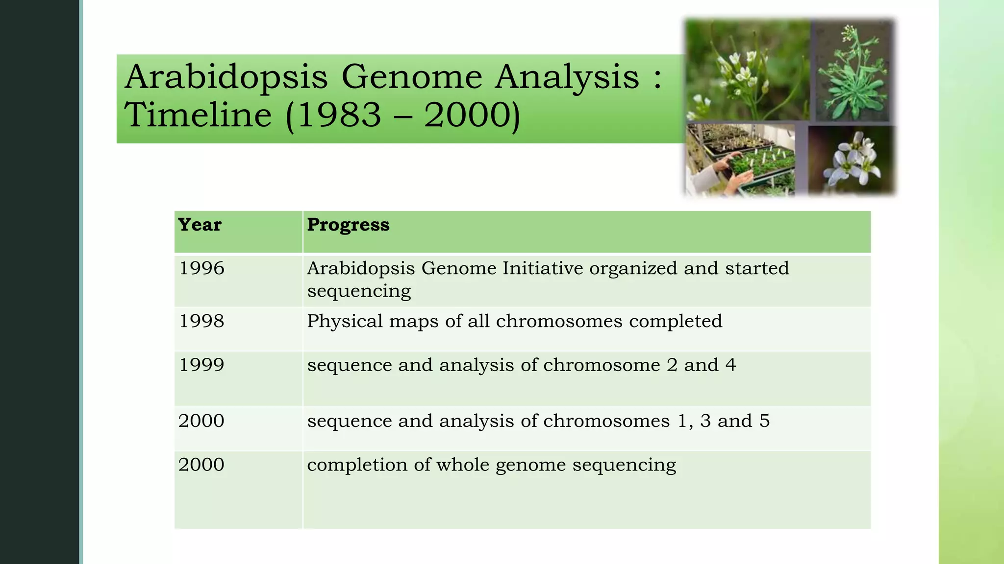 Plant genome project | PPTX