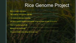 Plant genome project | PPTX