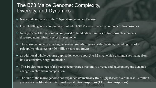 Plant genome project | PPTX | Biological Sciences | Science