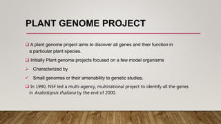 Plant genome project (COBAM, UOP, Peshawar) | PPTX