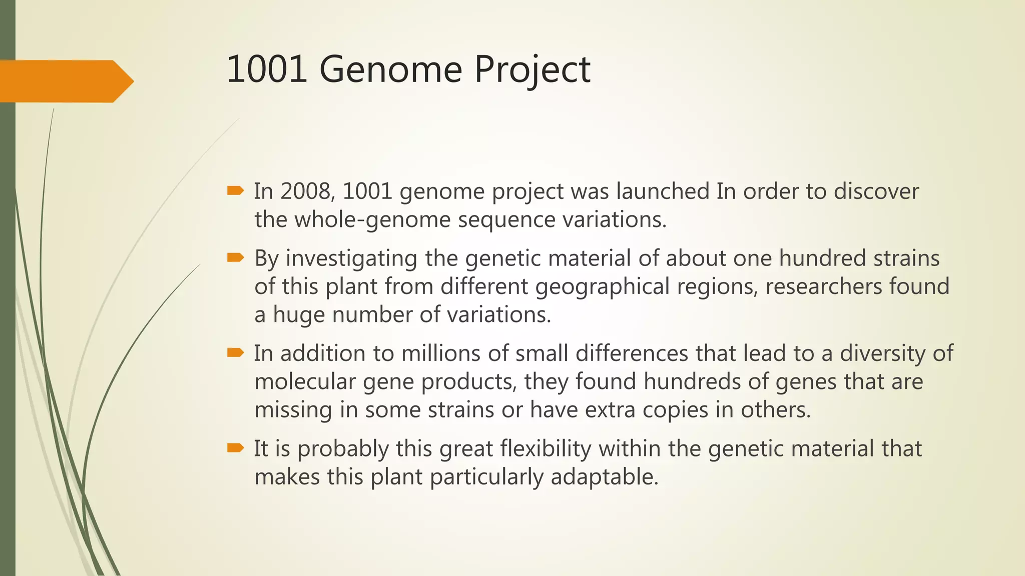 Plant genome project(aribidopsis) | PPTX
