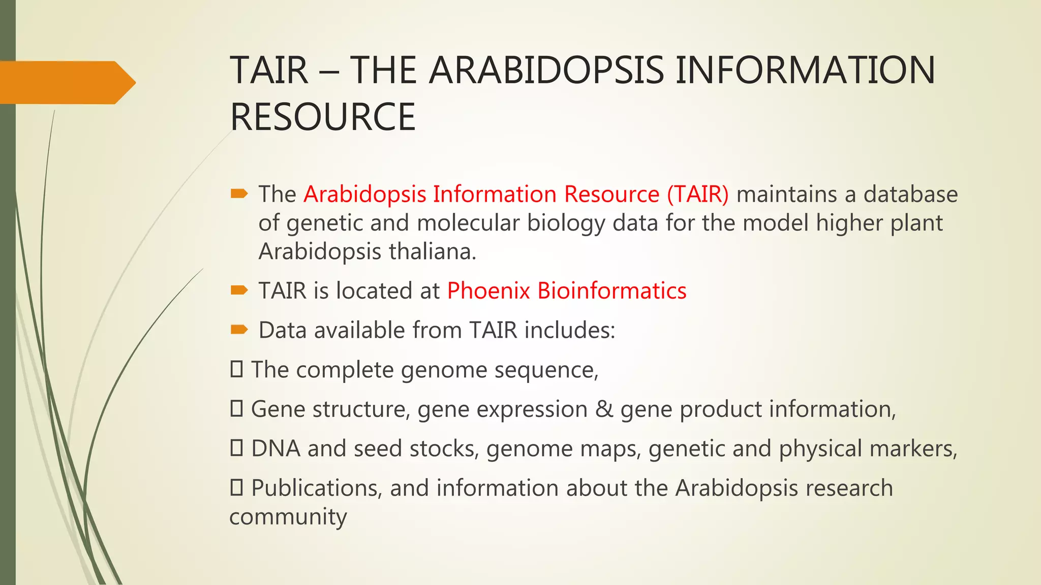 Plant genome project(aribidopsis) | PPTX