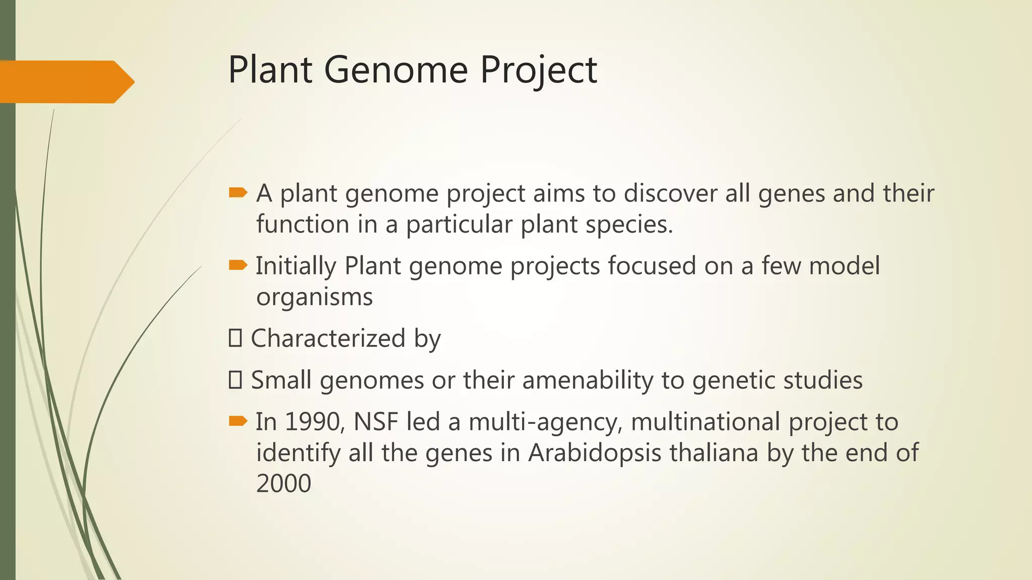 Plant genome project(aribidopsis) | PPTX