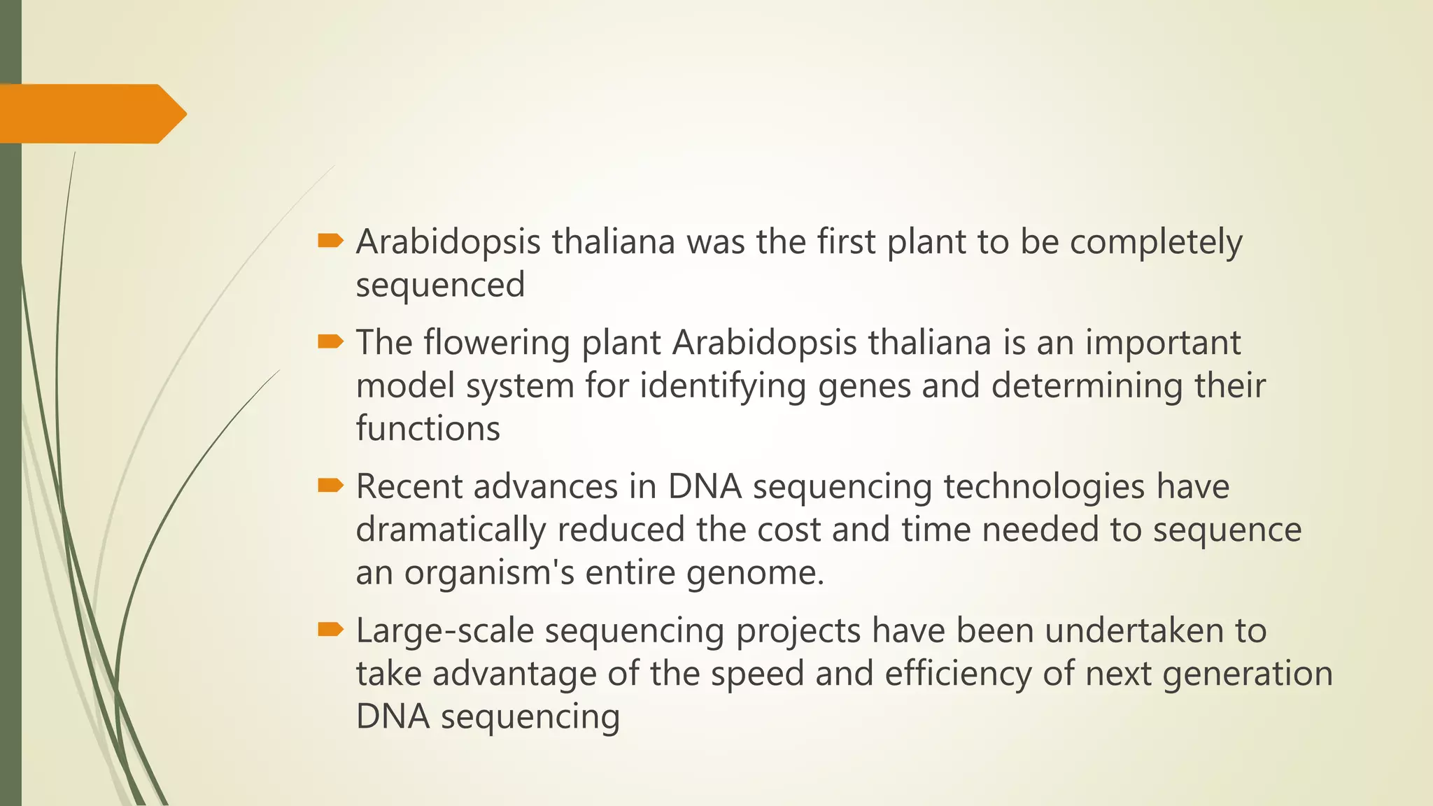 Plant genome project(aribidopsis) | PPTX