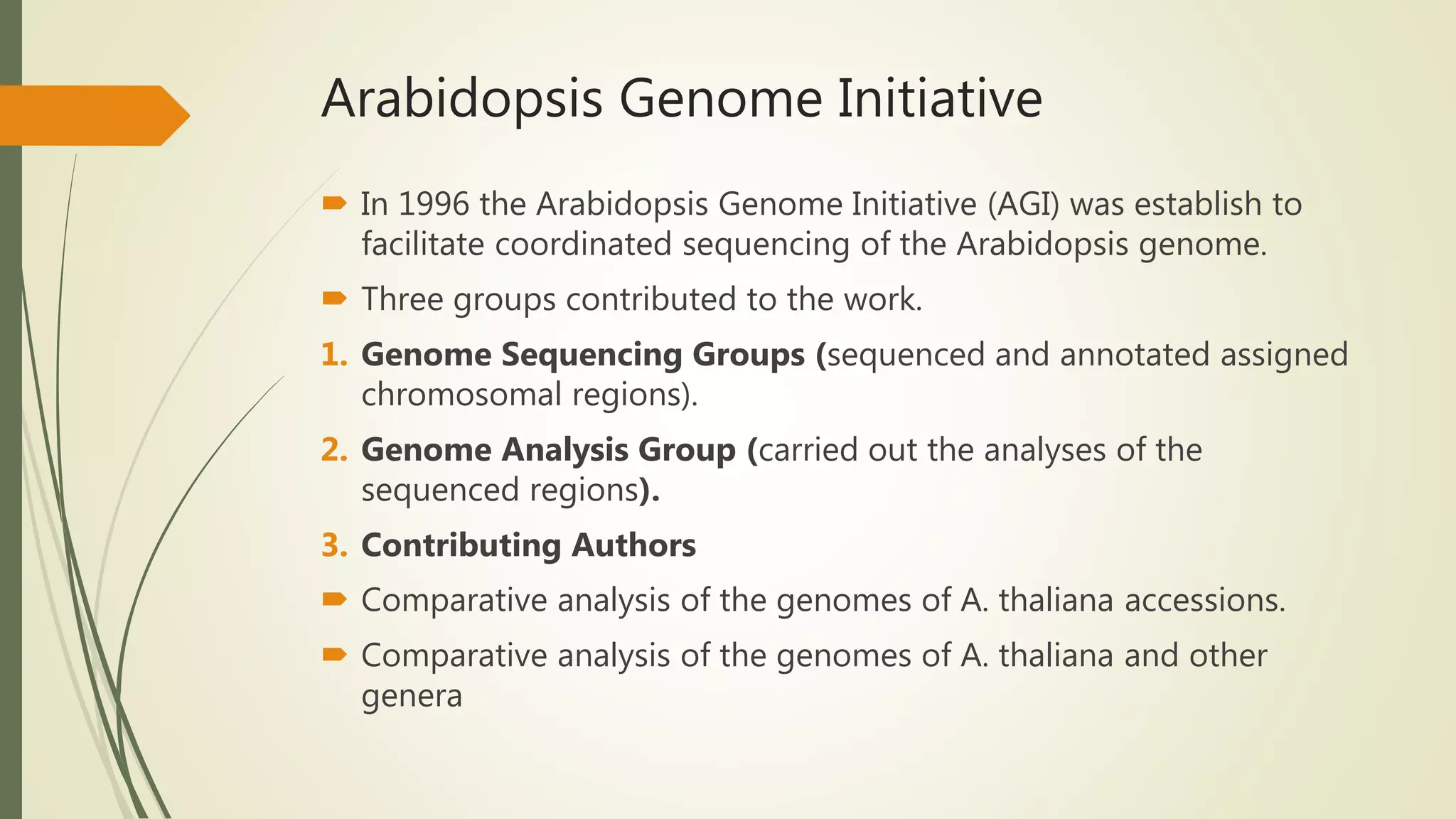 Plant genome project(aribidopsis) | PPTX