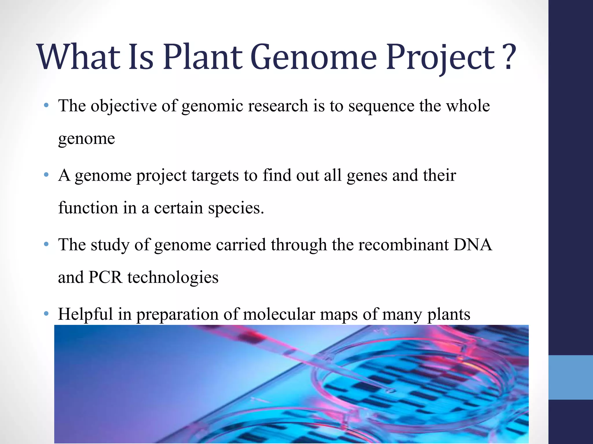 Plant genome project, tahira ali rai | PPTX