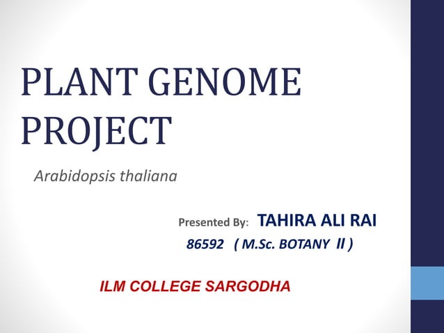 Plant genome project, tahira ali rai | PPTX | Gardening | Home & Garden