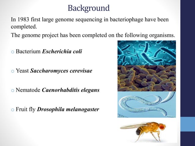 Plant genome project, tahira ali rai | PPTX | Gardening | Home & Garden