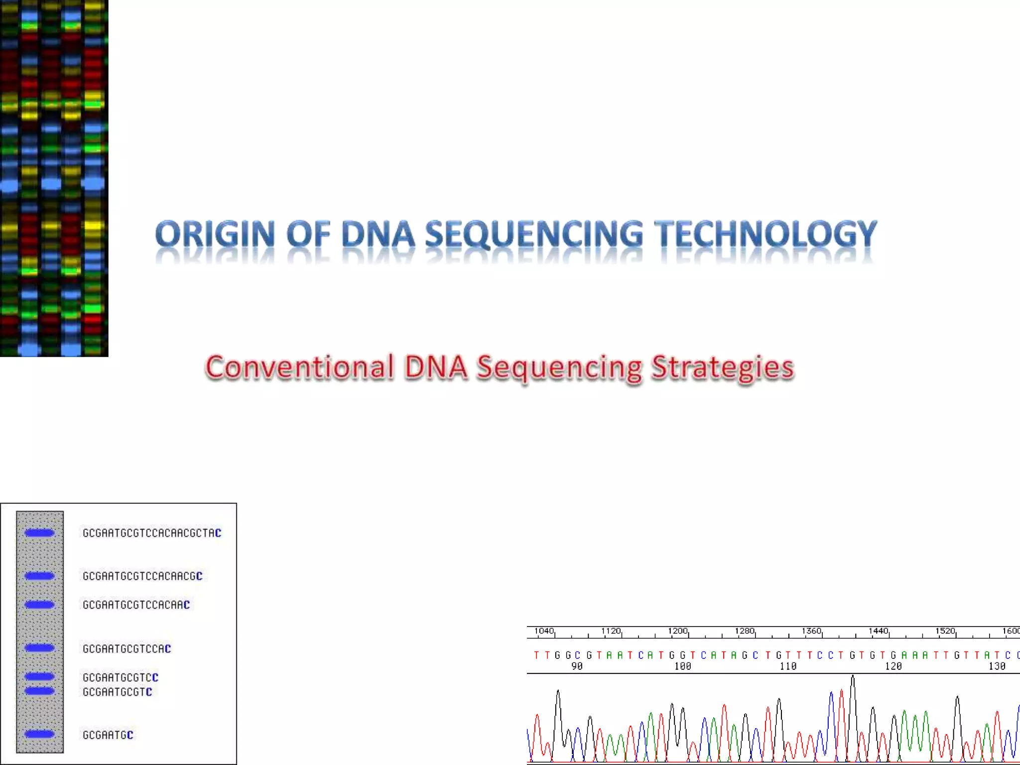 Plant genome sequencing and crop improvement | PPTX