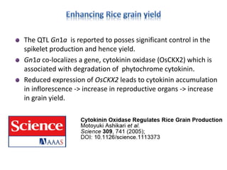 Plant genome sequencing and crop improvement | PPTX