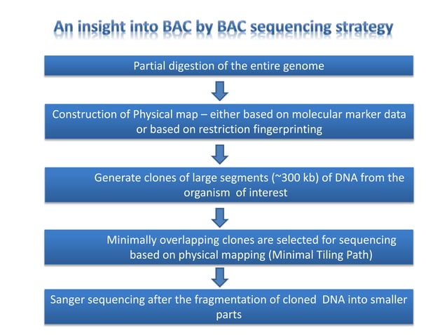 Plant genome sequencing and crop improvement | PPTX | Biotech and ...