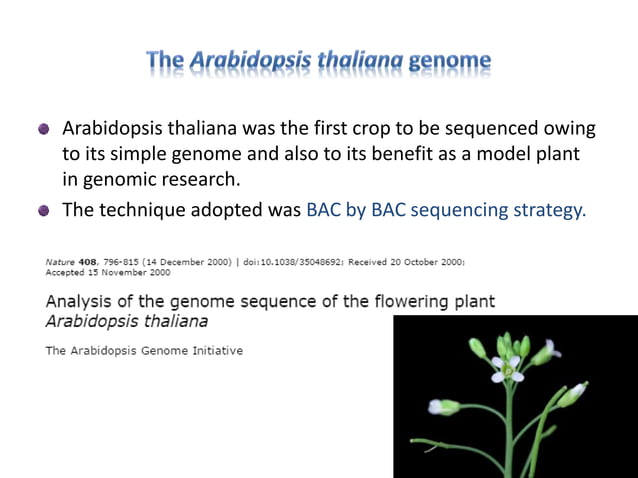 Plant genome sequencing and crop improvement | PPTX | Biotech and ...