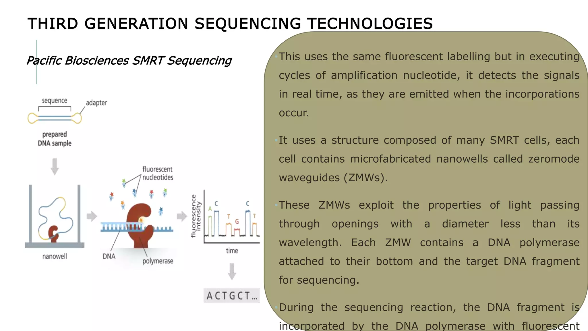 PLANT GENOME SEQUENCING AND DATA MINING.pptx