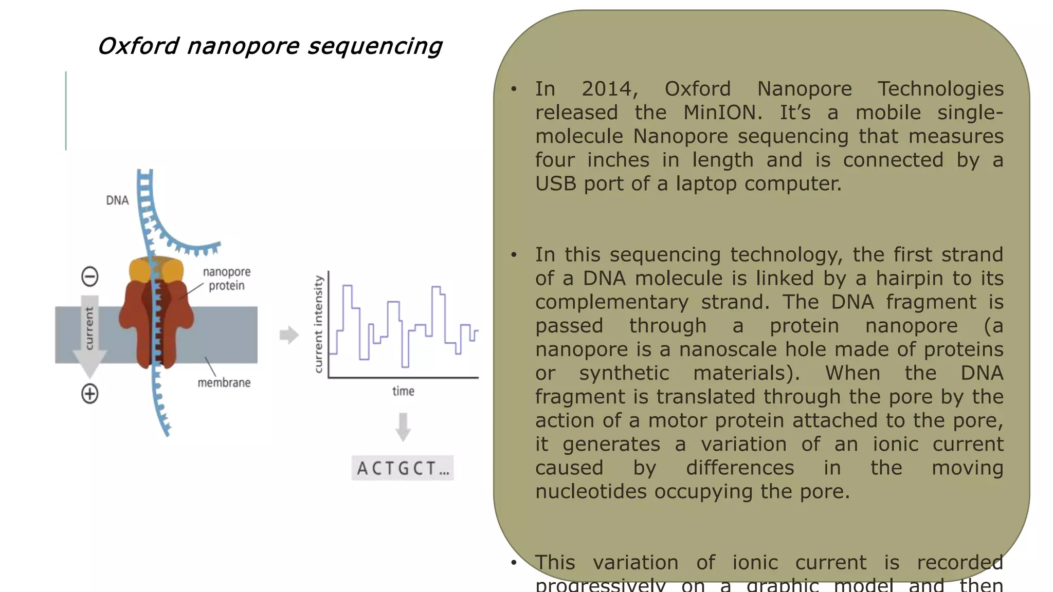 PLANT GENOME SEQUENCING AND DATA MINING.pptx