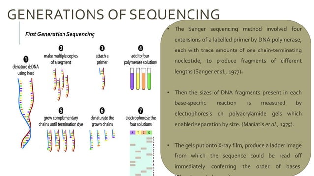 PLANT GENOME SEQUENCING AND DATA MINING.pptx