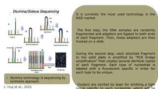 PLANT GENOME SEQUENCING AND DATA MINING.pptx