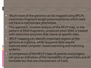Plant genomics general overview | PPTX