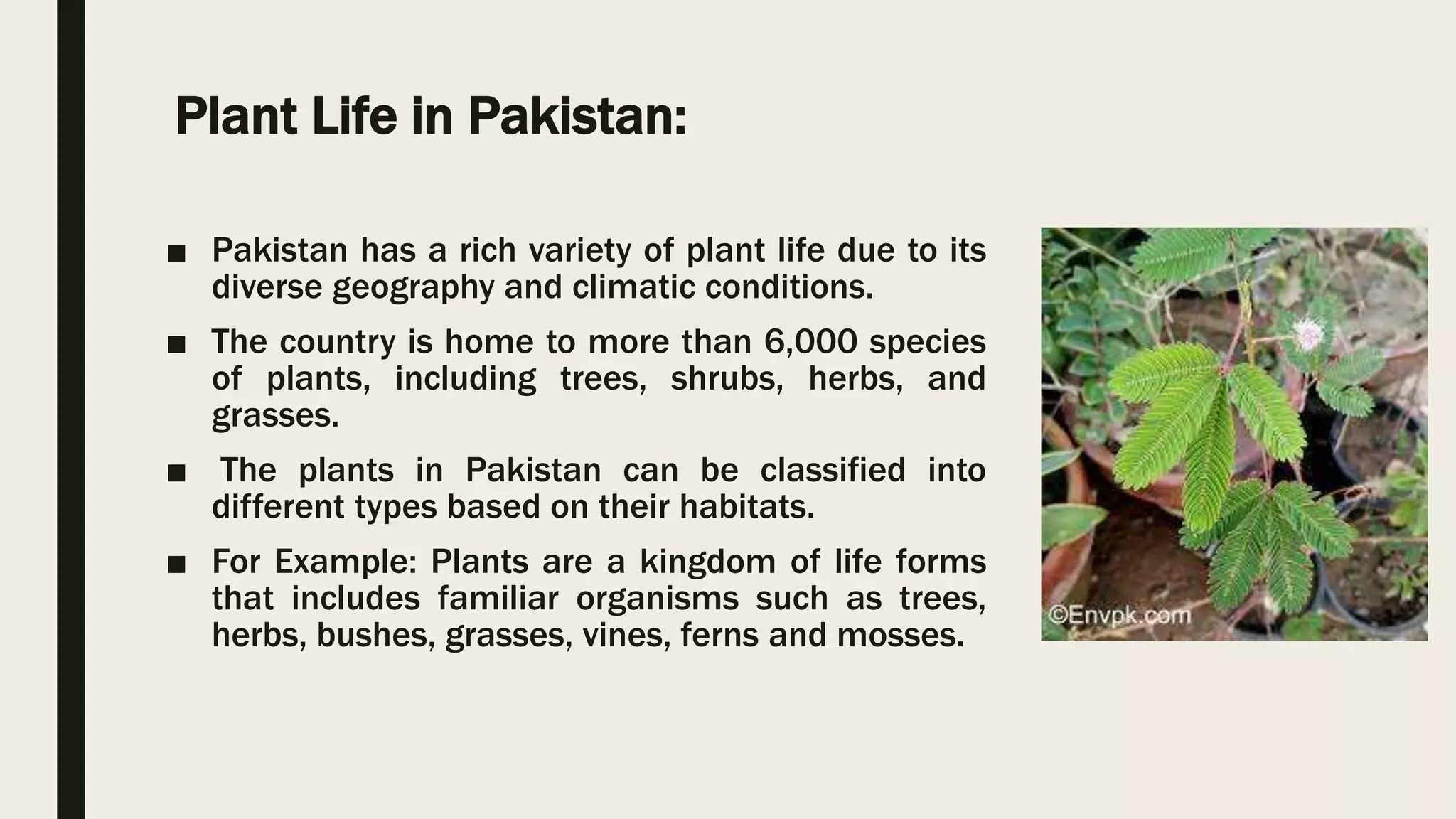 Plant Geography in Pakistan Course19-Ecology-Presentation.pptx