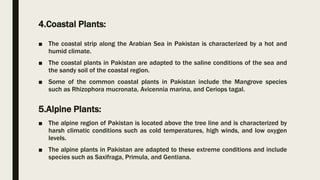 Plant Geography in Pakistan Course19-Ecology-Presentation.pptx
