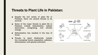 Plant Geography in Pakistan Course19-Ecology-Presentation.pptx