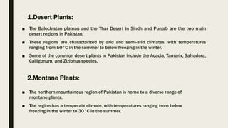 Plant Geography in Pakistan Course19-Ecology-Presentation.pptx