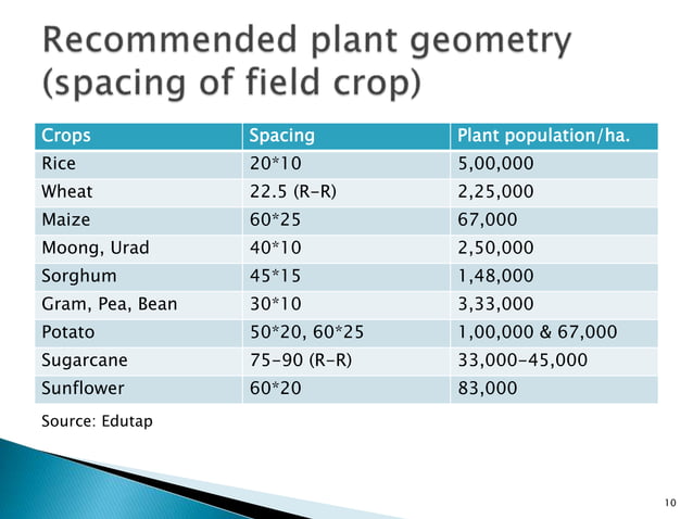 Plant geometry | PPTX | Agriculture | Industries