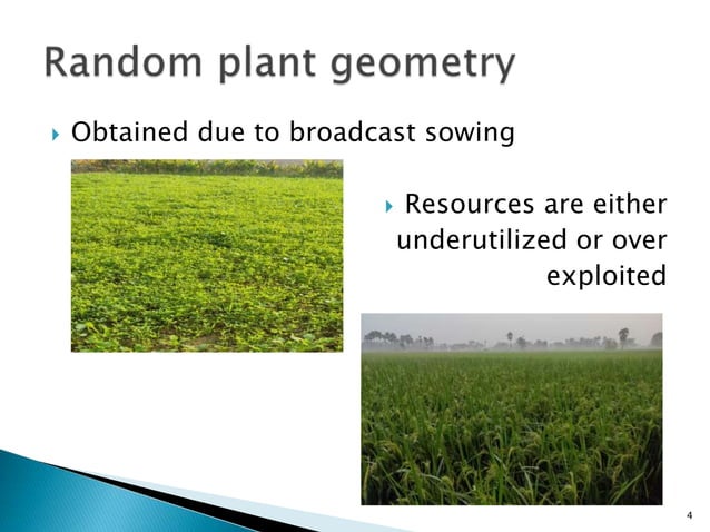 Plant geometry | PPTX | Agriculture | Industries