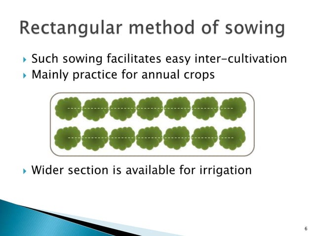 Plant geometry | PPTX | Agriculture | Industries