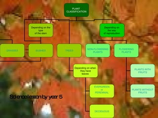 Plant Graphic | PPT
