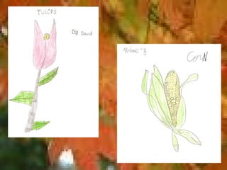 Plant Graphic | PPT