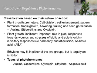 Pattern Formation In Plants