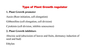 Plant growth regulators | PPTX