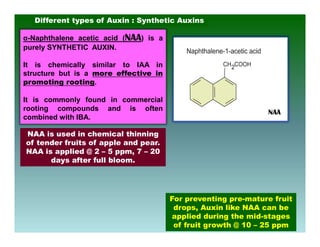 Commercial Plant growht regulators used in india | PDF
