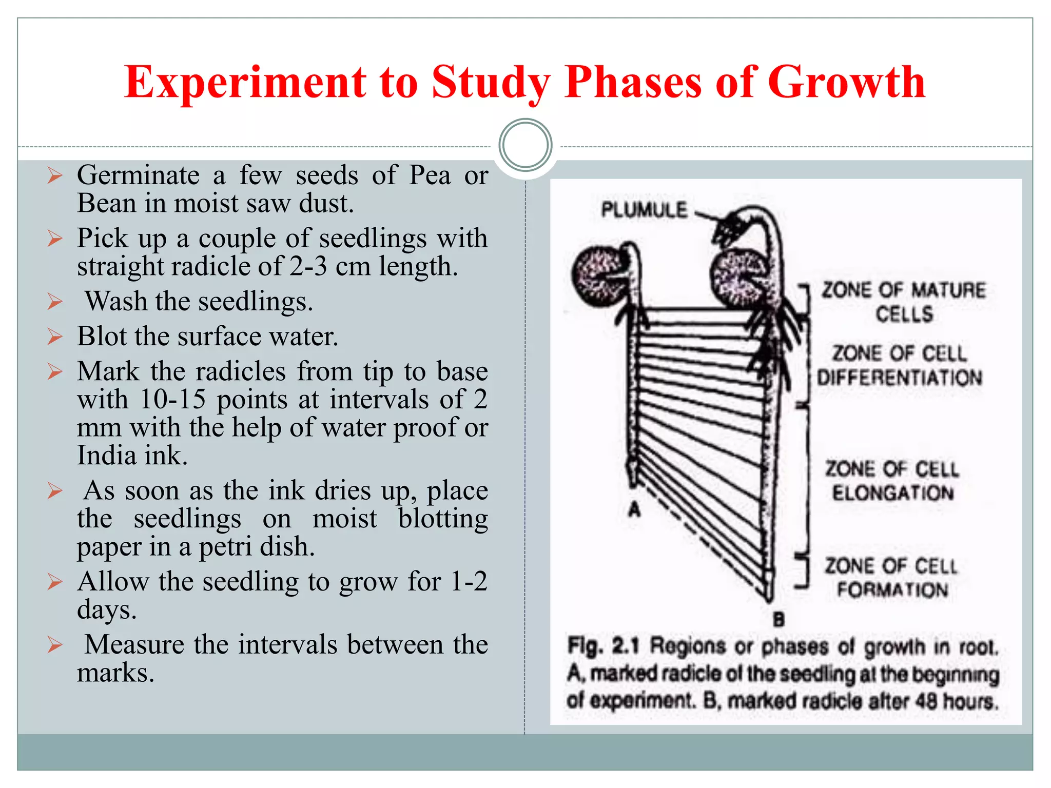 Plant growth | PPTX
